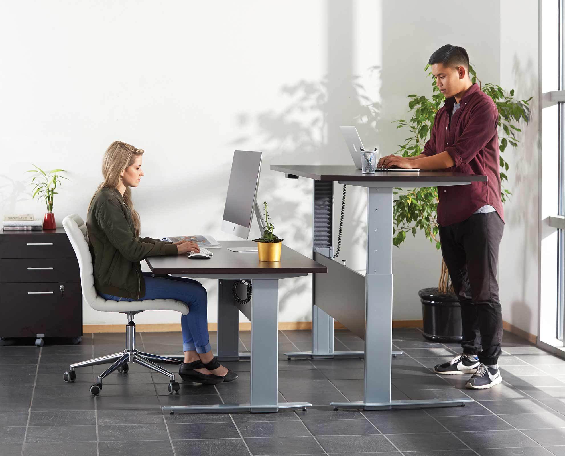 Sit-Stand Desk Lift - Guide